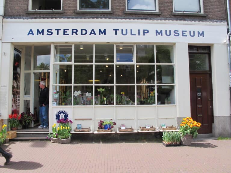 Tulip Museum in Amsterdam: one of the city's jewels