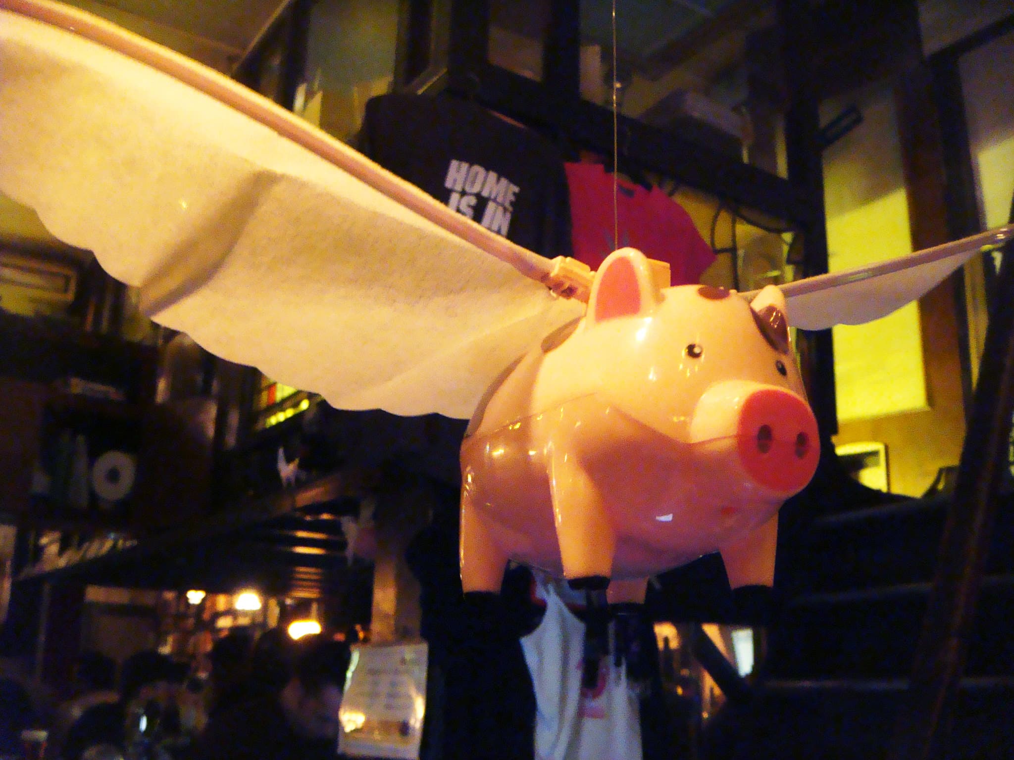 Das Flying Pig Uptown: eine Einrichtung im Herzen der Stadt